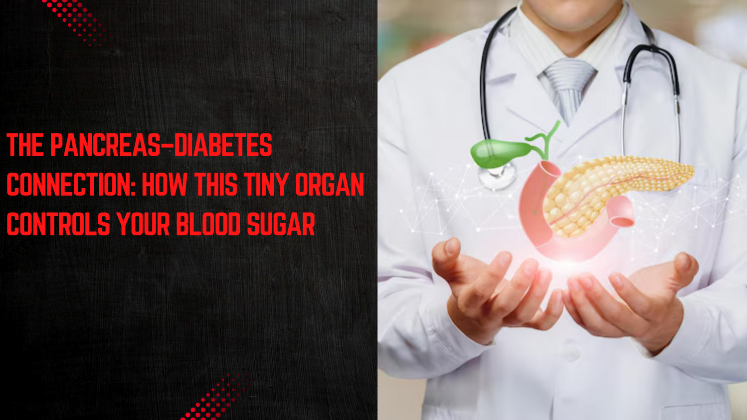 The Pancreas–Diabetes Connection: How This Tiny Organ Controls Your Bl ...